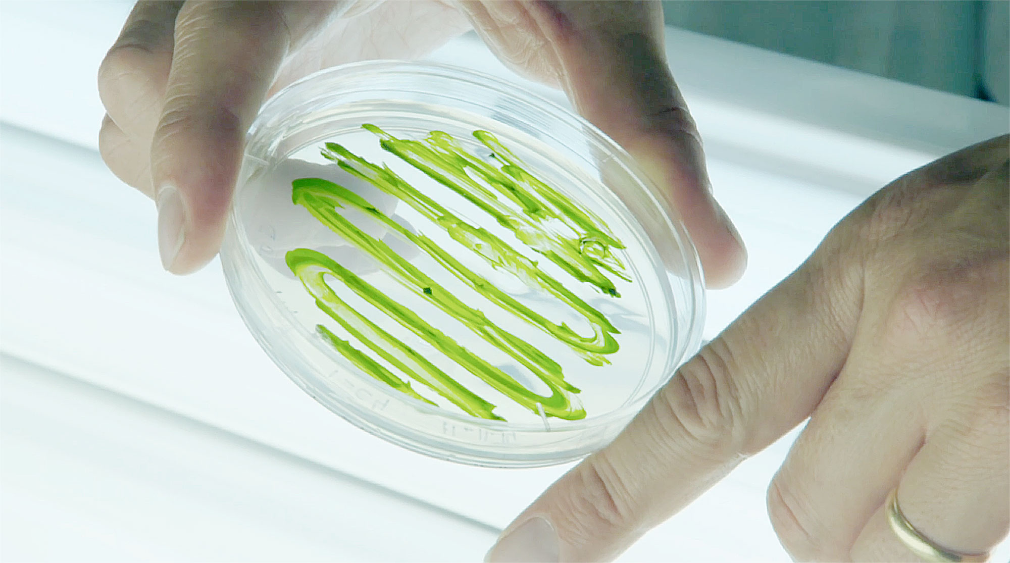 Synbio Powerhouse: Supercharge the Future with Synthetic Biology - Vertical